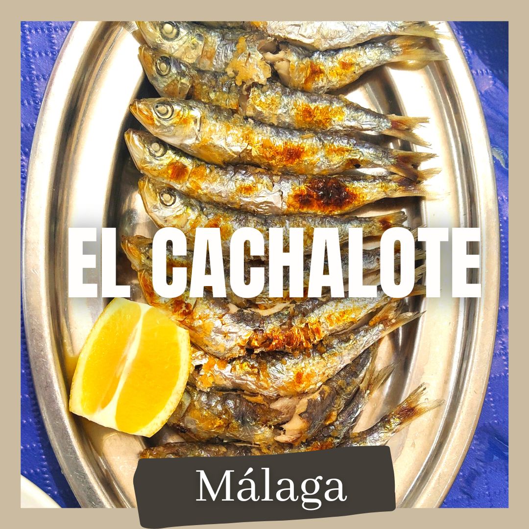 El Cachalote - Birra y Torrija