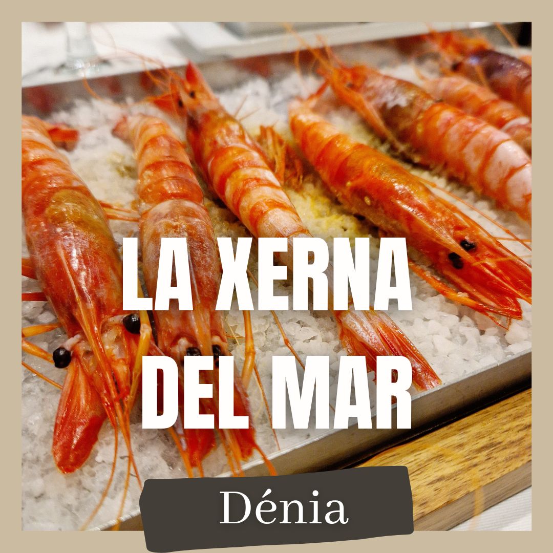La Xerna del mar - Birra y Torrija